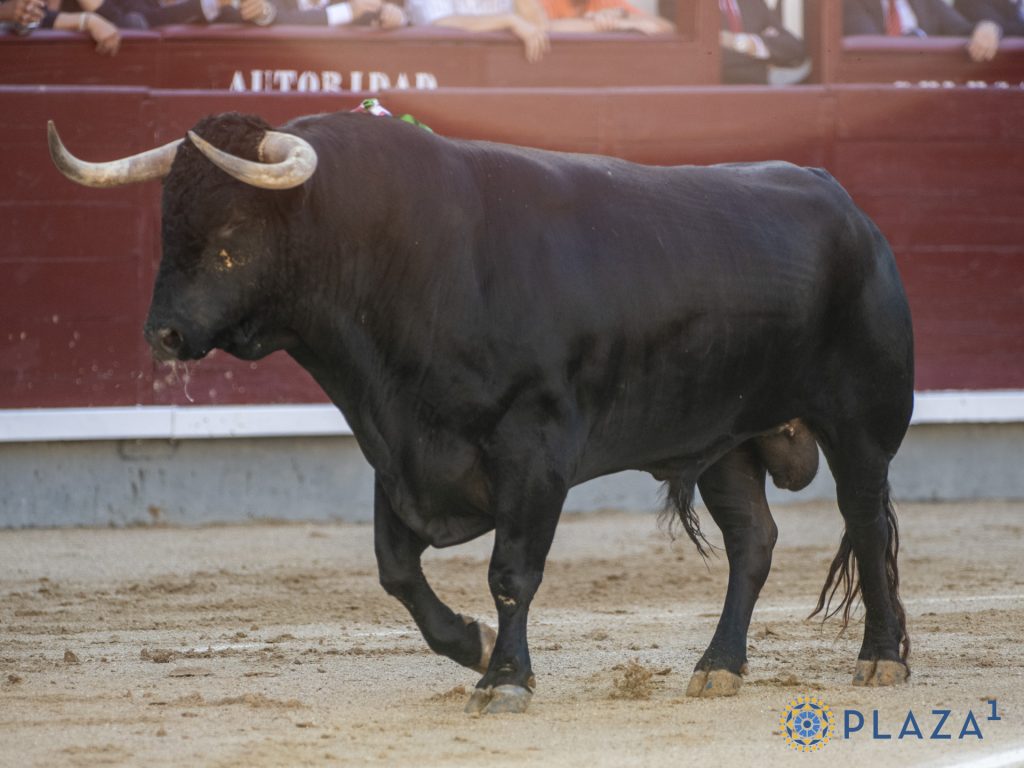‘Laborioso’, un sobrero de Casa de los Toreros de presencia imponente ...
